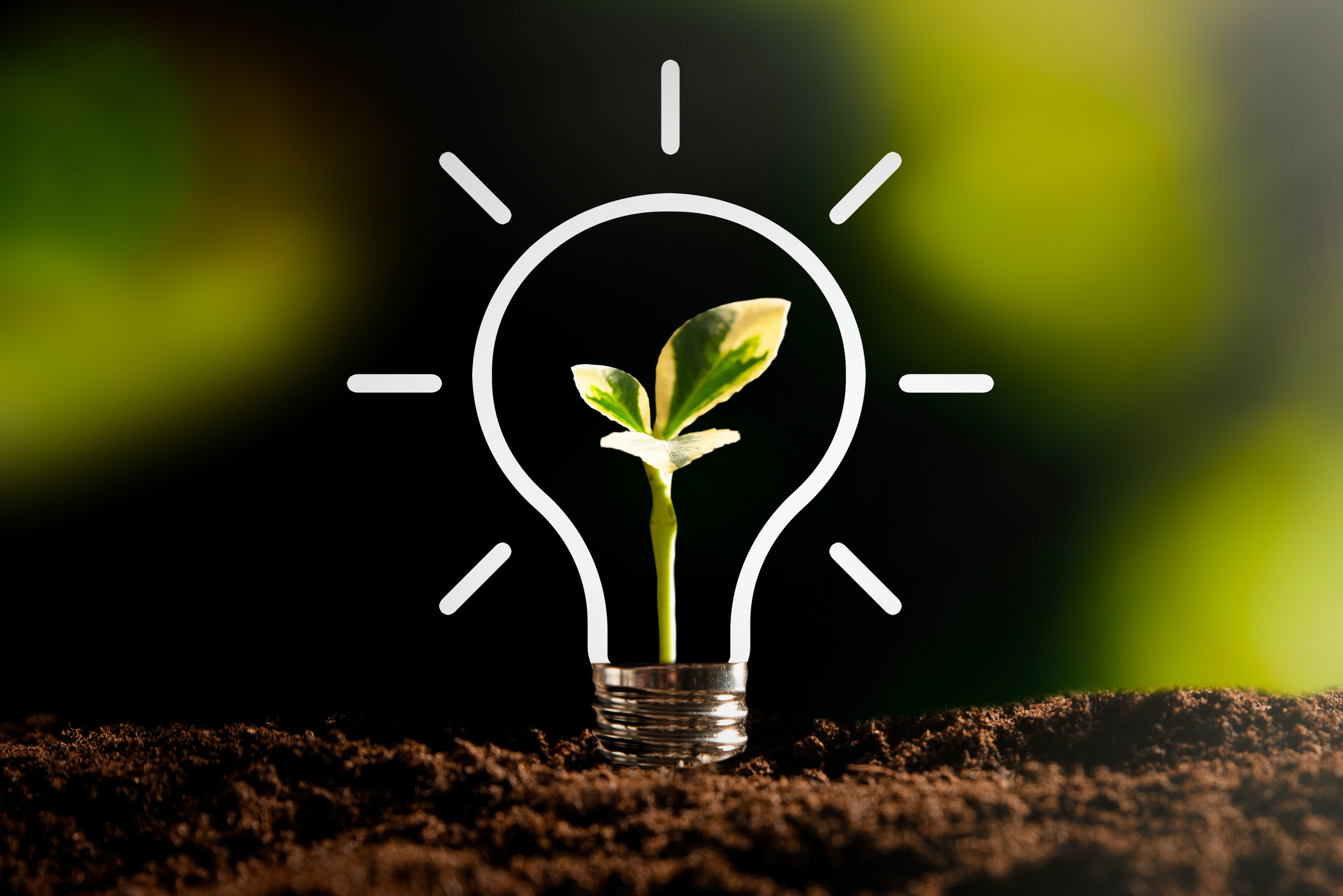 ISSB tweaks IFRS S2 to ease adoption | Business & Accountancy Daily